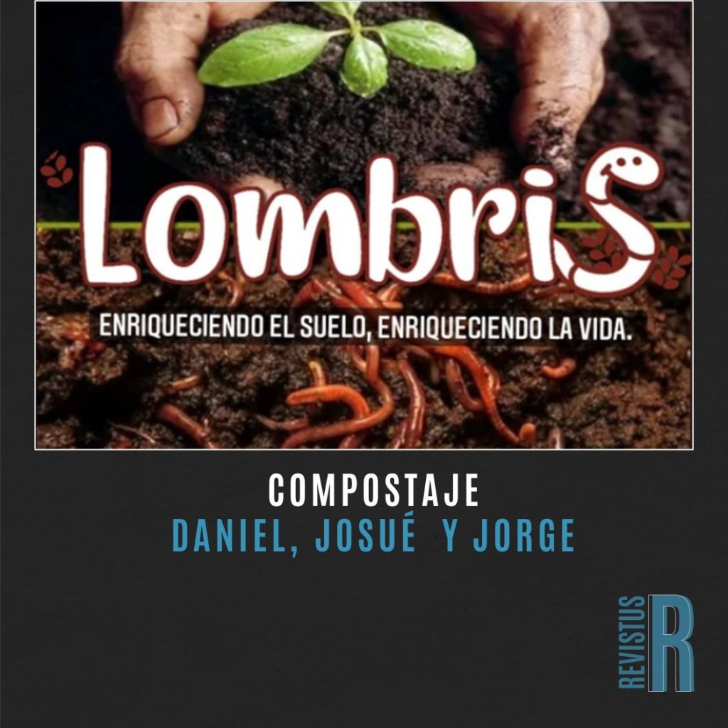 APROVECHAR LOS DESECHOS QUE GENERAMOS - ENTREVISTA A PROYECTO LOMBRIS ...